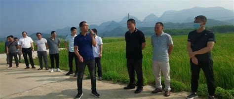2022年百色市补充耕地项目业务培训会在平果市召开进行自然资源太平镇