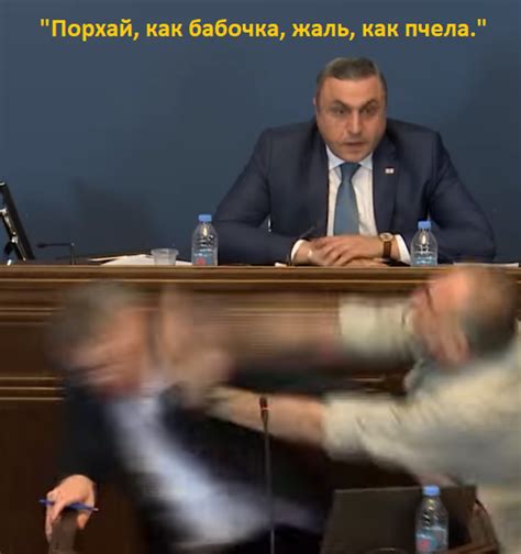 ალეკომ მდინარაძეს მუშტი ჩააზილა თბილისის ფორუმი