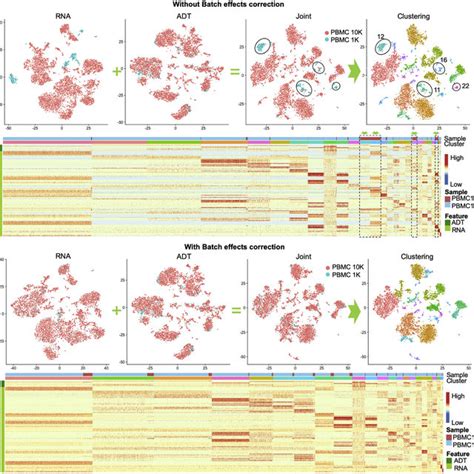 Batch Effect Correction For Multimodal Data With Linq View Analysis We
