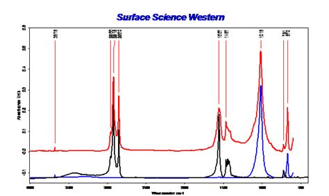 Blister Defects In Rubber Door Trim Surface Science Western