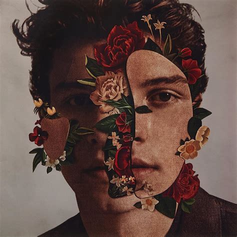 Shawn Mendes Vinyl Vinyl Lp Amazonde Musik Cds And Vinyl
