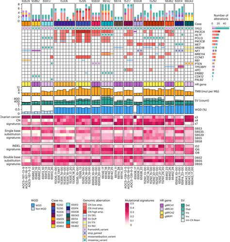 Of Hgsc Genomic Landscape At Autopsy As Assessed By Wgs Top Oncoprint