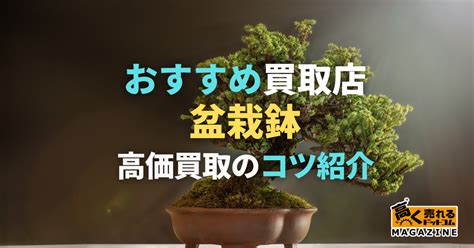 盆栽鉢の買取は骨董品買取業者へ！買取相場とおすすめ業者を紹介 高く売れるドットコムマガジン