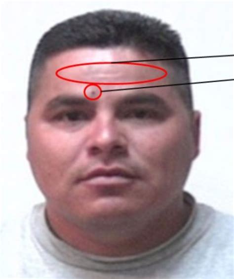 Ejecutan A Uno De Los 3 Chapos Del Narcotráfico El Chapo Trini Fue