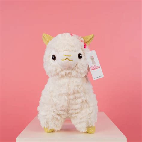 Fluffbean Amyywoahh Wiki Fandom