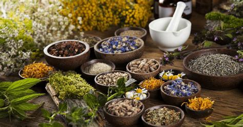 رایج‌ترین محصولات گیاهی برای درمان سنگ کلیه مجله سلامت مفیدطب