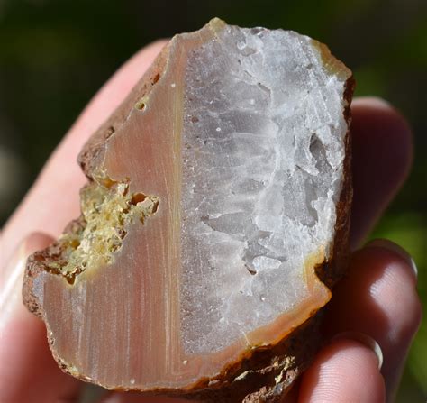 Raw Agate · Earthly Essentials