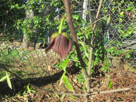 Ecofrugal Living Small Successes Ecofrugal Living Small Successes