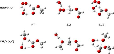 Calculated Transition State Structures For The Attack Leading To Pt S