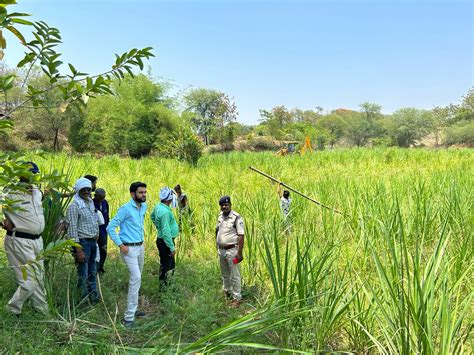 82 Acres Of Grazing Land Freed In Three Villages Je Narsinghpur Made