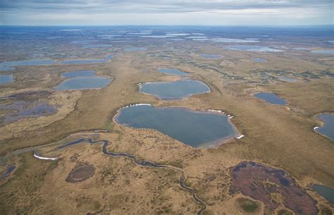 Leave It In The Ground Arctic Resources Should Stay Where They Are Wwf Arctic