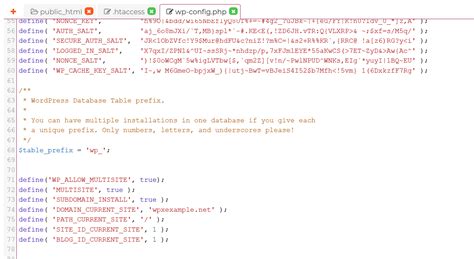 How Can I Install WordPress Multisite On My Website WPX Net