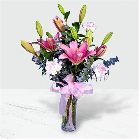 Lily Marlene Petals Africa