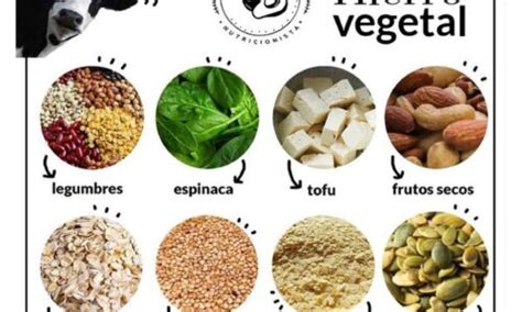 Explorando Las Fuentes De Calcio Vegetal Yocomofeliz