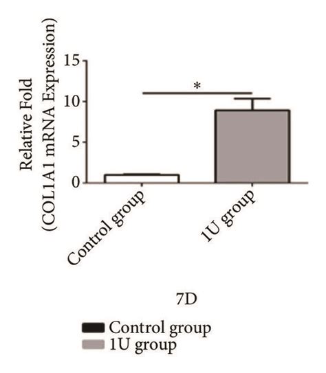 gene expression levels of collagen α1 type i col1a1 osteopontin