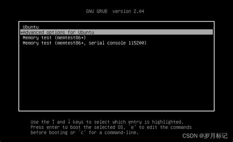 Ubuntu切换内核版本 Csdn博客