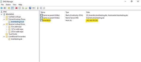 Set Up Windows Dns Dynamic Updates