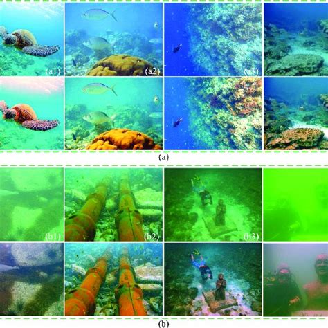 Visibility Restoration Of Underwater Degraded Images A Blue Tone Download Scientific Diagram