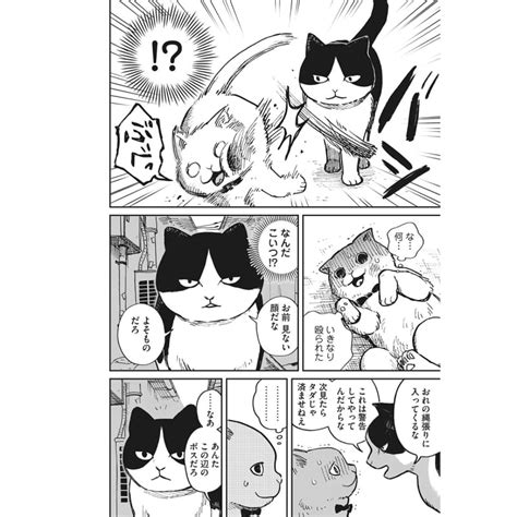 【漫画】たくましく生きる姿に泣ける！『ツレ猫 マルルとハチ』が描く野良猫たちの甘くない現実【voceマンガサークル】｜美容メディアvoce