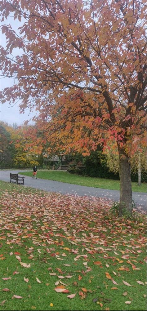 Sneha Anand On Linkedin Each Moment In A Day Has Its Own Value Good Morning 🌄