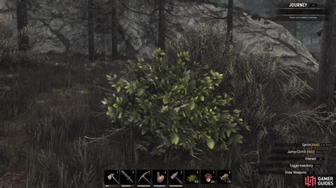 Hops Conan Exiles Database Gamer Guides®