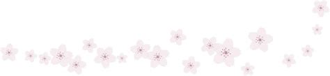 Premium Vector Beautiful Pink Sakura Cherry Blossom Illustration