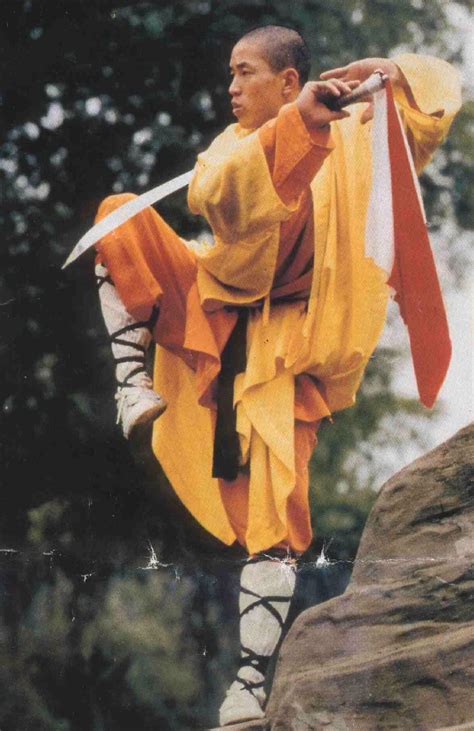 Frases De Monjes Shaolin Interlazados