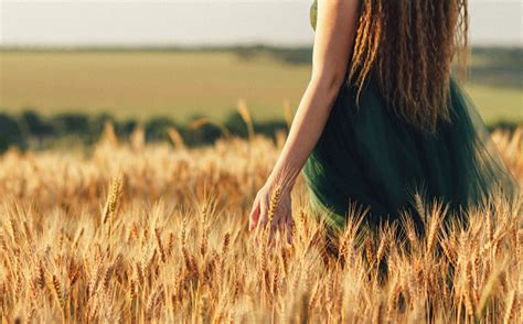 녹색 드레스 워크 잉크의 아름다운 여자는 필드를 가로 질러 걷고 일몰 빛에 손으로 밀의 귀를 만지고 여름 자연 풍경을 즐기는