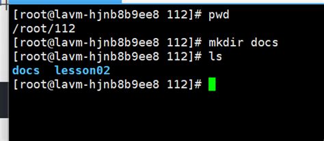 Linux命令指令ls是什么意思 Csdn博客