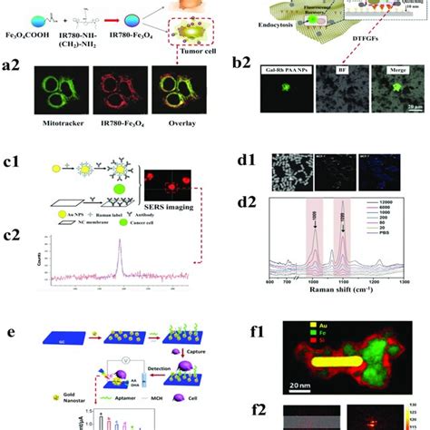 Applications Of Liquid Biopsy In Cancer Diagnosis Along With The