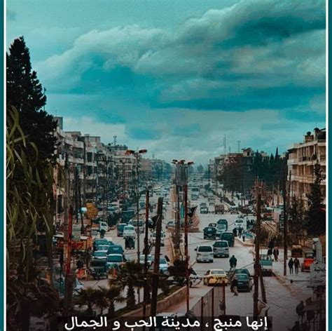 مدائن منبج العقارية