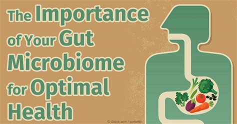 The Importance Of Gut Microbiome For Optimal Health