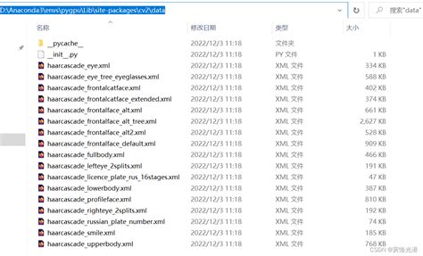 opencv自带的haar级联分类器对脸部 人脸、猫脸等 的检测识别 haarcascade csdn博客