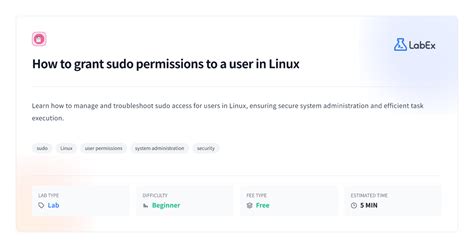 How To Grant Sudo Permissions To A User In Linux Labex