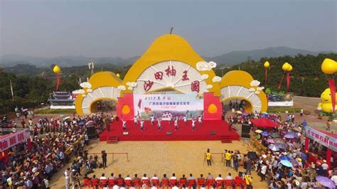 2017年广西容县沙田柚旅游文化节今日开幕快来现场体验挡不住的柚惑 搜狐