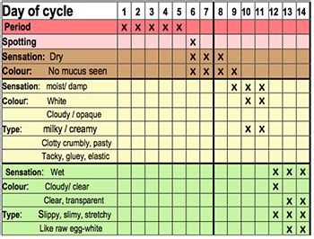 Ovulation Discharge Chart