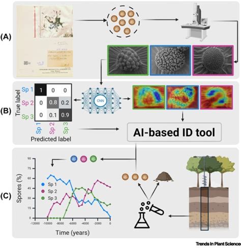 Time To Spice Up Paleoecological Records With Bryophyte Spores Trends