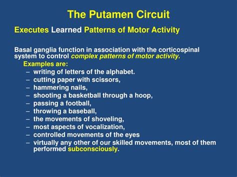 Ppt Motor Areas Extrapyramidal System Powerpoint Presentation Id 5963386
