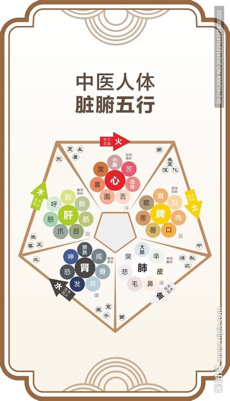 脏腑五行设计图 广告设计 广告设计 设计图库 昵图网