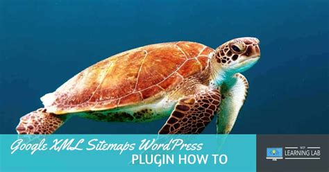 How To Use The Google XML Sitemaps WordPress Plugin