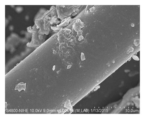 FE SEM Micrographs Of Fractured Fiber Of Ae Glass Epoxy Composites