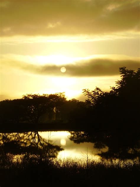 Silhouette Reflection Sunset Free Photo On Pixabay
