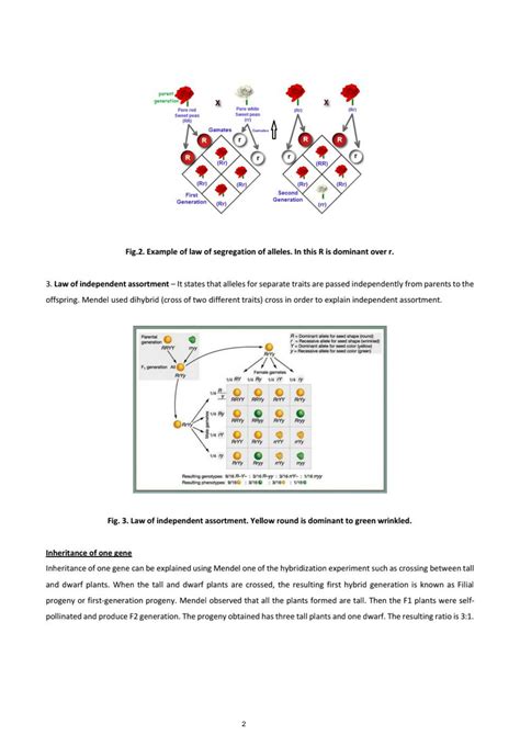 Solution Principal Of Inheritance And Variation Class 12 Biology