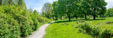 Middlesex County Massachusetts High End Market Watch First Half 2020
