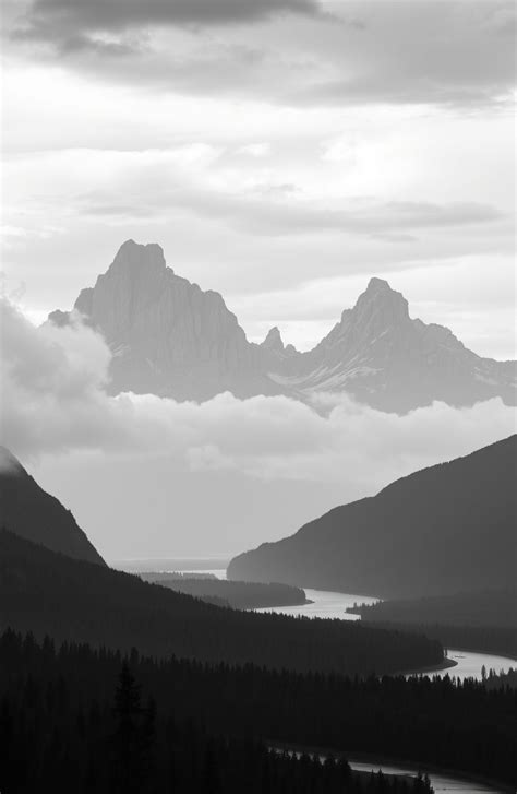 🔥 Free Download Black And White Nature Wallpaper By Mlynch