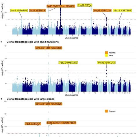 Manhattan Plots Displaying Genome Wide Associations Between Common
