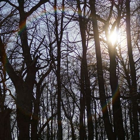 Stream Fallingbird Happy On My Own Prod 4lexf Buckrider By