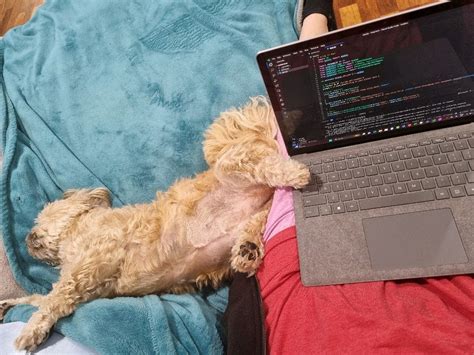 Github Copilot Codespaces Responsibleai Microsoft Developer