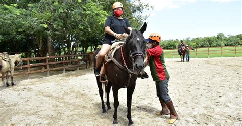 Ultimatives Dschungelabenteuer Zipline Atv Reiten Und Cenote
