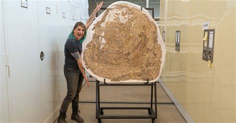 A Giant Clam Named Chowder Is Making Waves At The Burke Museum Uw Magazine — University Of